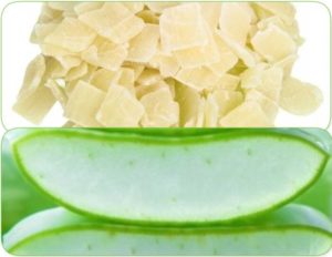 Dried and Candied Aloe Vera Benefits [+ Recipes]